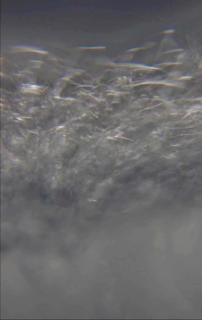 Portfolio: Photography – Kaz McCue